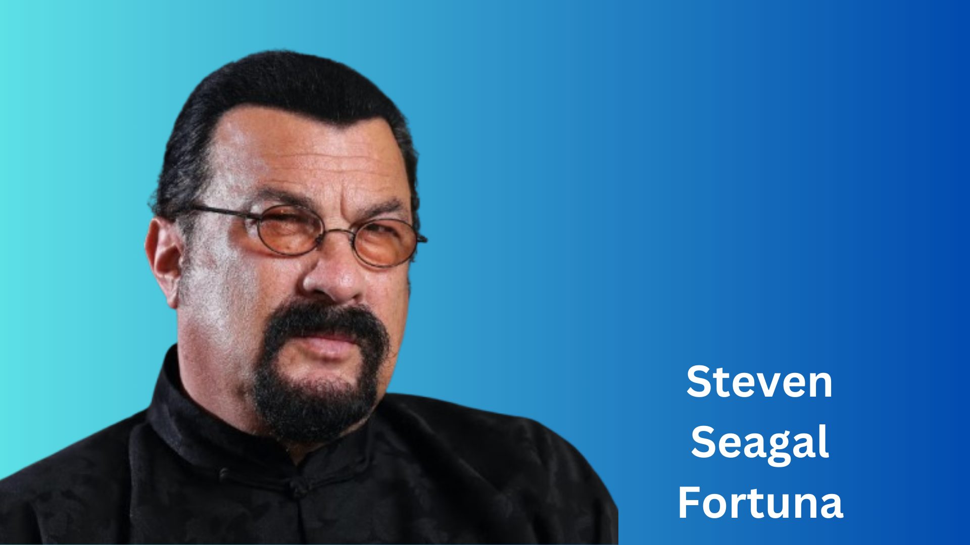 Steven Seagal Vermogen